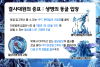 메이플랜드 메랜 결사대원의 증표 혼테일 퀘스트 및 팔라딘 성수 비숍 제네시스 관련 퀘스트 공략 네이버 블로그